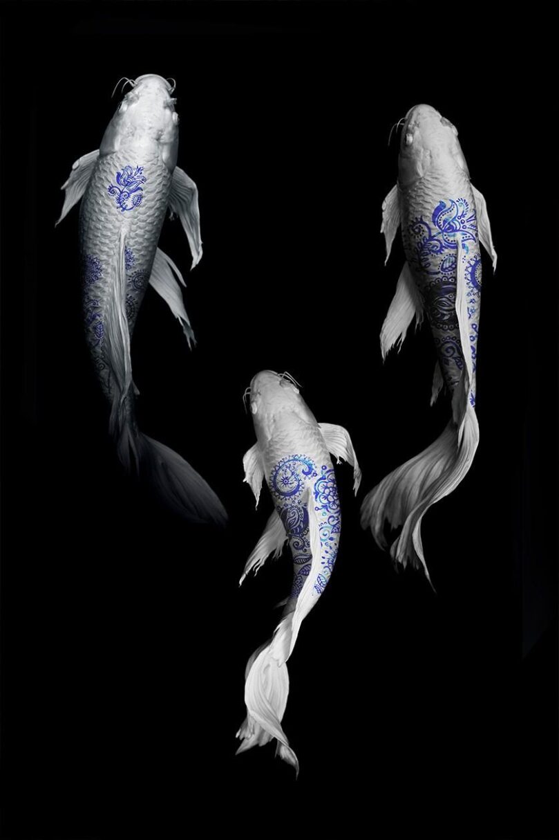 Artistiek schilderij van vissen I The Art of Fish